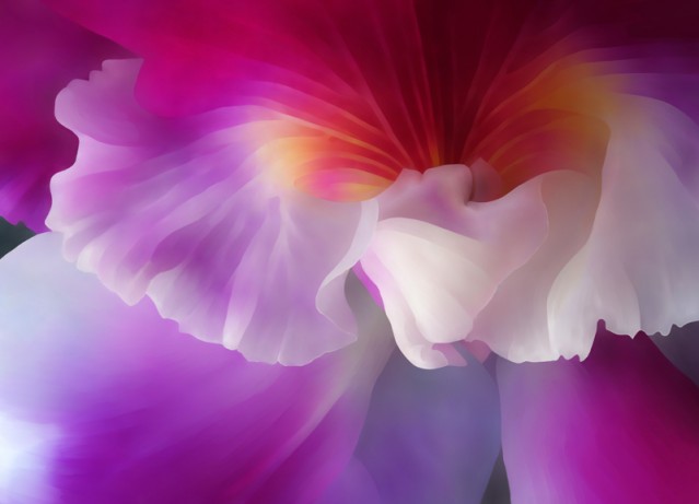 Jacque Rosenau uses her painting skills to create stunning digital art.